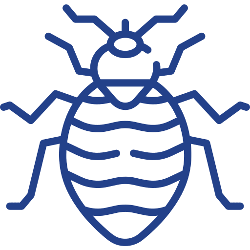 Pest Control Phoenix | Termite & Exterminator Services | ACTION Termite ...