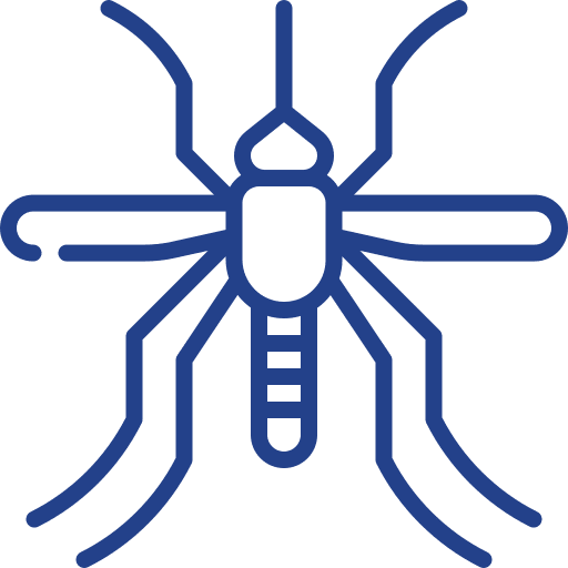 Pest Control Phoenix | Termite & Exterminator Services | ACTION Termite ...