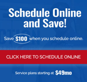 Commercial Pest Control In Phoenix, AZ | ACTION Termite