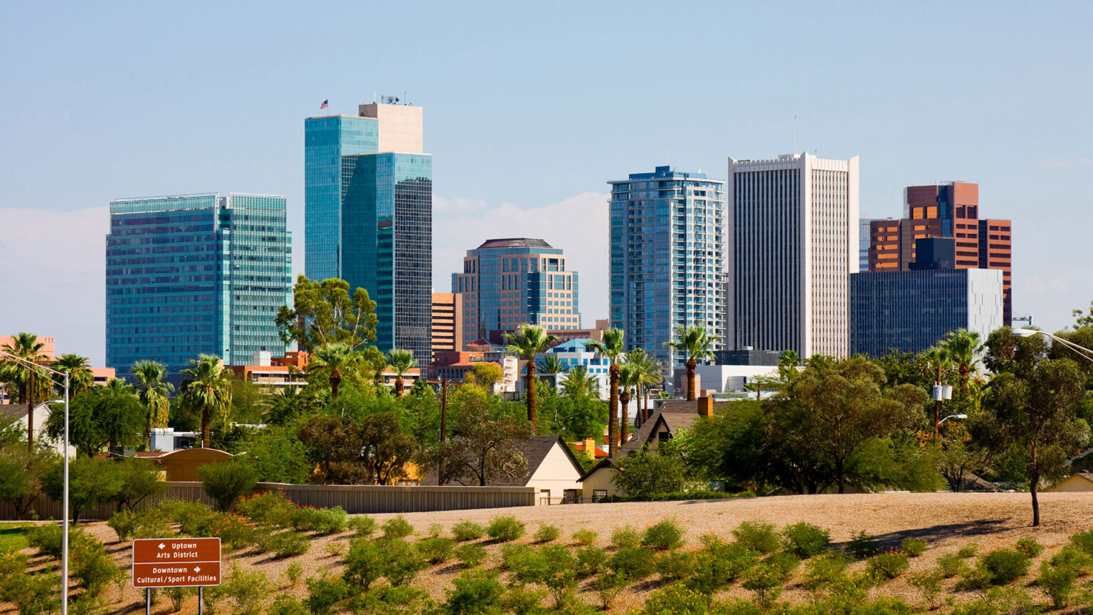 Commercial Pest Control In Phoenix, AZ | ACTION Termite