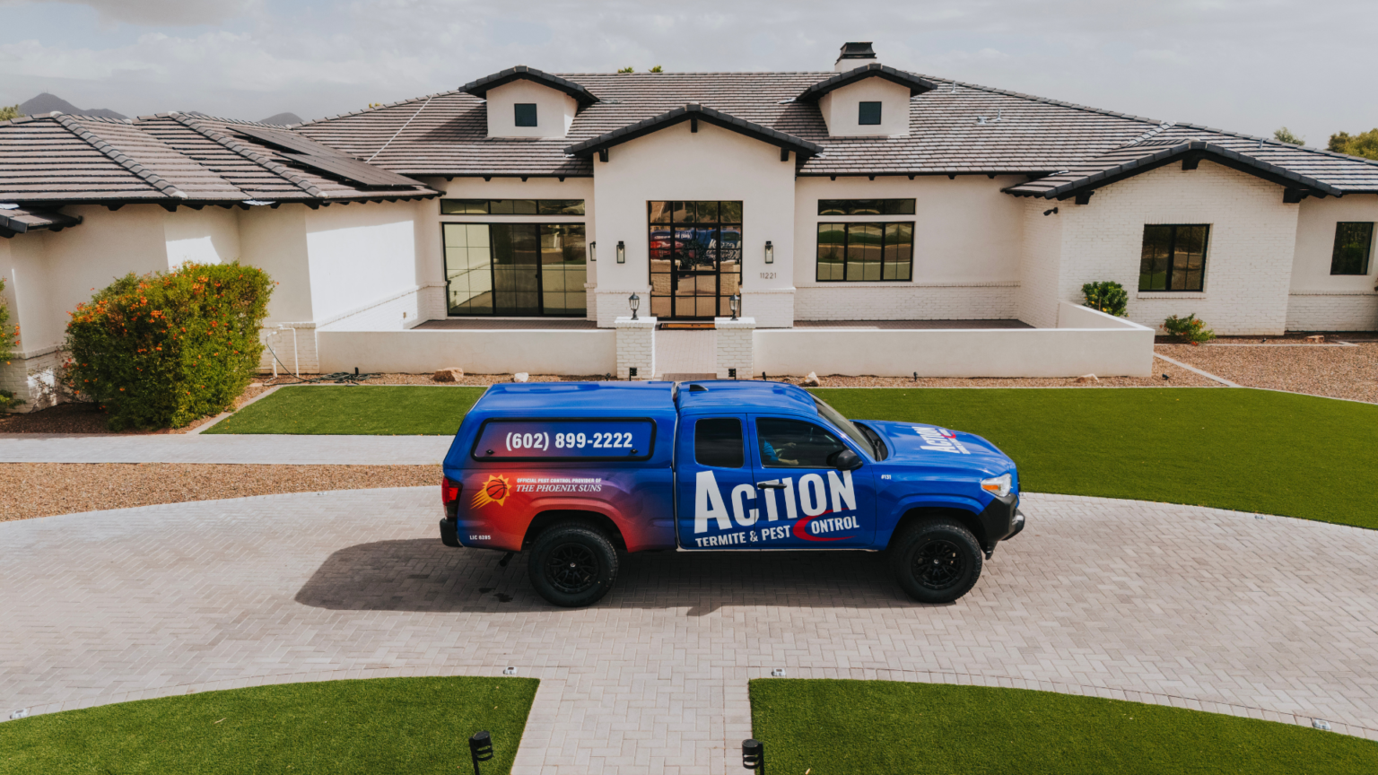 Pest Control Phoenix | Termite & Exterminator Services | ACTION Termite ...