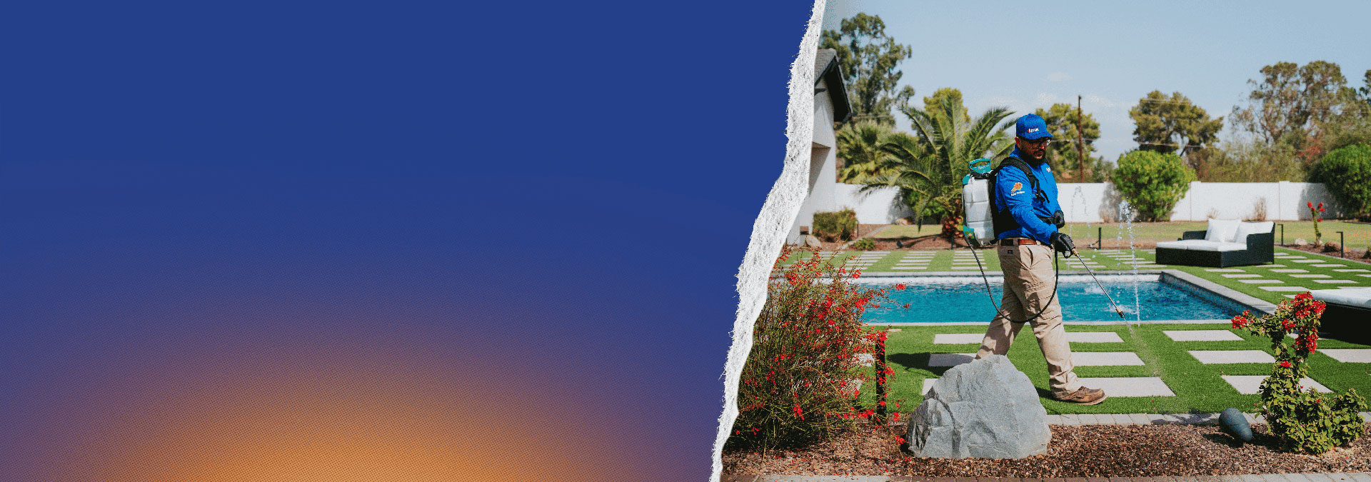 Termite Control Phoenix: Top-Rated Treatment & Inspection Services